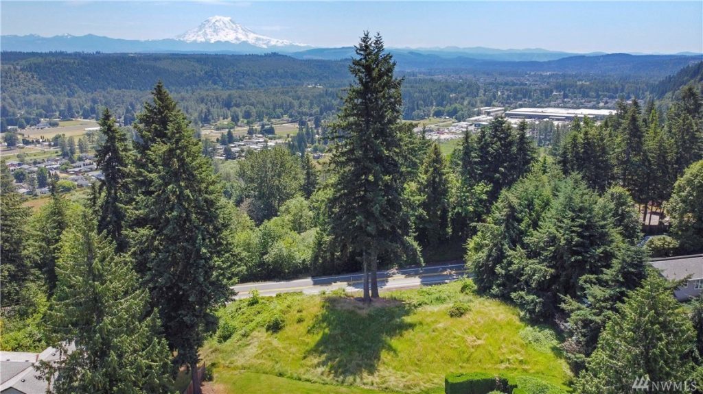 Picturesque 0.52-Acre Property with Views of Mt. Rainier & Orting ...